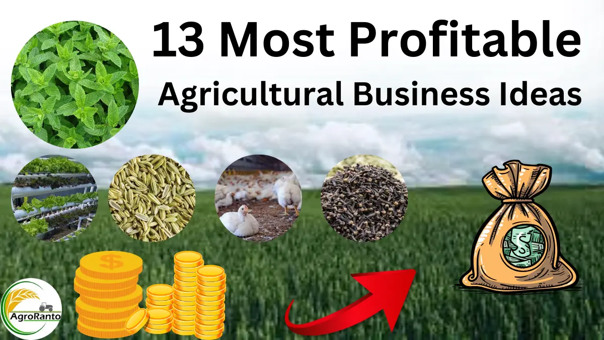 13 Most Profitable Agricultural Business Ideas {2025} - agroranto