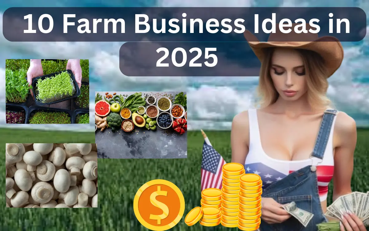 10 Farm Business Ideas in 2025 to Kickstart Your Entrepreneurial ...